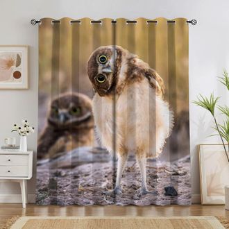 Generic Verdunkelungsvorhang Charmant Thermovorhang K&auml;lteschutz Eule Blickdicht &Ouml;senschal f&uuml;r Gardinen Wohnzimmer & Schlafzimmer H 175 x B 140 cm 2er Set b940