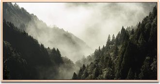 Paul Sinus Art Wald mit Nebel ca. 130x70cm Wandbild inklusive Schattenfugenrahmen naturfarbend - Panorama Leinwand Bild XXL Format Wandbilder Wohnzimmer Wohnung Deko