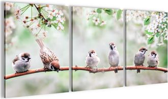 Runa Art Bilder Spatzen 3 Teilig Wandbild auf Vlies Leinwand Gr&uuml;n Mehrteilig Modern 050135a