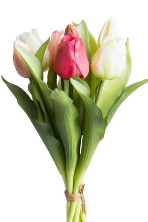 Botanic-Haus k&uuml;nstliches Tulpenb&uuml;ndel/k&uuml;nstlicher Tulpenbund Sandy mit 4 Tulpen und 3 Tulpenknospen Farbe: Creme-pink-Beauty real Touch