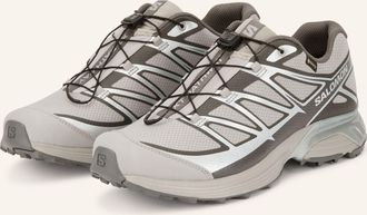 Salomon Sneaker Xt-Pathway Gtx grau
