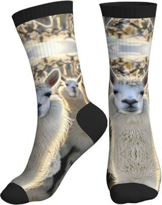 Generic Unisexe Homme Chaussettes Lama Mignon Socquettes Sportswear Respirantes Chaussettes De Sports Pour Basketball Sport Yoga 40Cm