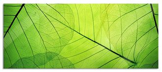 Pixxprint Glasbild Panorama, Wandbild aus Echtglas, Wundersch&ouml;ne Zarte gr&uuml;ne Bl&auml;tter, 120x50 cm, inkl. Aufh&auml;ngung und Abstandshalter