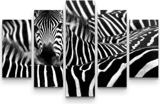 Paul Sinus Art Leinwandbilder | Bilder Leinwand 160x100cm Zebra in seiner Herde