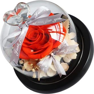 Amosfun Romantische Unsterbliche mit Roter Bl&uuml;te Glasabdeckung und Langlebigem Material Dekoration f&uuml;r Zuhause und Valentinstag Zuf&auml;llige Farbe Zuf&auml;llige Farb