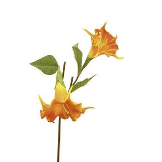 Artelore Home 0113075 - Tinkerbell, gelb