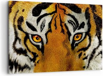 Arttor Wandbilder Dekoration Wohnzimmer Tiger Tiere Natur Safari Bilder auf Leinwand 120x80cm Leinwandbild Schlafzimmer Küche Deko Wand Kunstdruck Art Groß X