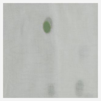 Faliero Sarti Womens Silk-Blend Polka Dot Scarf White, Green Modal; Silk; Wool Scarfs