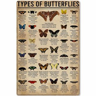 IUBBKI Arten von Schmetterlingen Blechschild Metallschild Kunst zum Aufhängen Eisen Malerei Retro Haus Küche Garten Garage Wanddekoration