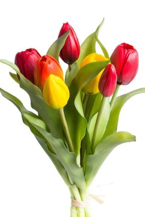 Botanic-Haus k&uuml;nstliches Tulpenb&uuml;ndel/k&uuml;nstlicher Tulpenbund Sandy mit 4 Tulpen und 3 Tulpenknospen Farbe: Farbe: rot-orange-gelb real Touch