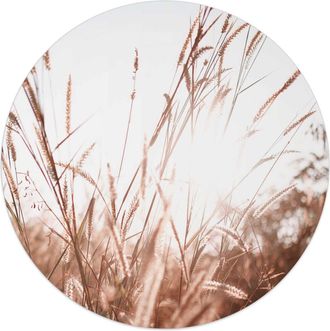 Reinders Wandbild, Sommer, Wohnzimmer, Poster, Wanddeko, Room Decor, Holz, Beige, Ø 50cm