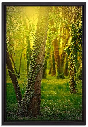 Pixxprint B&auml;ume und Efeu Leinwandbild 60x40 cm im Bilderahmen, Wandbild, Schattenfugenrahmen, Kein Poster