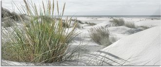 Pixxprint Glasbild Panorama, Wandbild aus Echtglas, Grasige Dünenlandschaft am Meer B&W Detail, 120x50 cm, inkl. Aufhängung und Abstandshalter