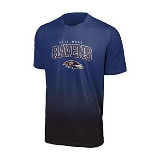 Foco Baltimore Ravens NFL Gradient Mesh Jersey Short Sleeve Herren T-Shirt