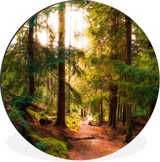 MuchoWow Wandbild Rund Wanddeko Deko Wohnzimmer Bilder 90x90 cm Wald - Weg - B&auml;ume - Gr&uuml;n - Sonne - Natur