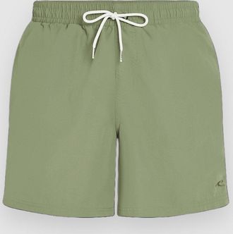 O'Neill Vert 16 Boardshorts avery fern
