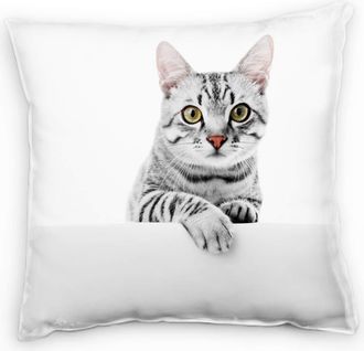 Paul Sinus Art Tiere, Katze, grau, weiß Deko Kissen 40x40cm für Couch Sofa Lounge Zierkissen - Dekoration zum Wohlfühlen