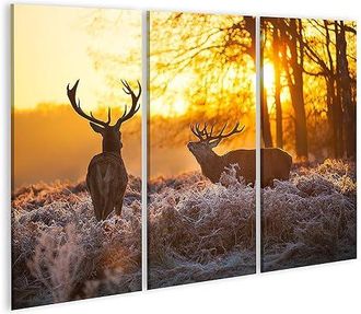 Islandburner Tableau sur Toile Deux Cerfs au Soleil du Matin Cadre Affiche Poster Murale Tableaux