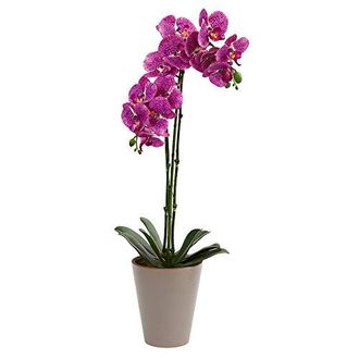 Nearly Natural Orchidee Phalaenopsis-Arrangement, 61 cm