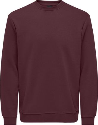 Only & Sons Onsconnor Reg Crew Neck Sweat Noos