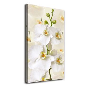 Tulup Leinwandbild - 50x100cm - Wandkunst - Drucke auf Leinwand - Leinwanddruck - Wohnzimmer Wanddekoration XXL - Wohnung Deko Kunstdrucke - Blumen & Pflanz