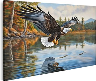 Islandburner Bild auf Leinwand Majestätischer Weißkopfseeadler Bilder Wandbilder Poster JDYA-1P