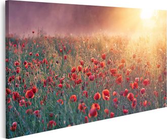 Islandburner Bild auf Leinwand Wilde Mohnblumen Blühen Feld Sonnenstrahlen Morgen Nebel Raps Bilder Wandbilder Poster BNPO-1P