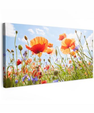 MuchoWow Leinwand Bilder, Einzigartige Wanddeko mit Rahmen, Blumen - Mohn - Fr&uuml;hling - Natur - Rot - Blau, Wandbilder Wohnzimmer, Deko Schlafzimmer 80x40 cm