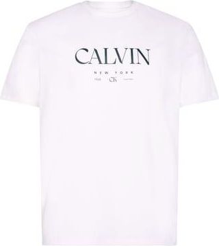 Calvin Klein T-shirt coupe droite en coton avec logo