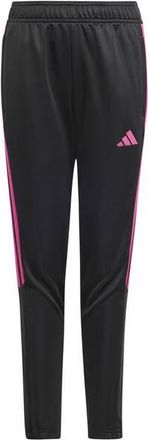 adidas Kinder Sporthose TIRO23 CBTRPNTY