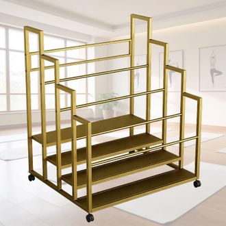 Generic Aufbewahrungsregal for Yogamatten, Organizer for Heim-Fitness-Zubeh&ouml;r mit R&auml;dern Metalllagerregal Gro&szlig;e Kapazit&auml;t Platzsparend for Kurzhanteln(Gold - 