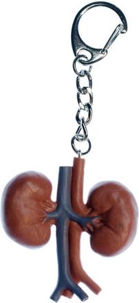 Miniblings Niere Organ Schl&uuml;sselanh&auml;nger - Handmade Modeschmuck I Anh&auml;nger Schl&uuml;sselring Schl&uuml;sselband Keyring - Niere Organ