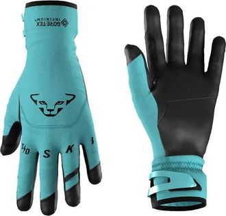 Dynafit Herren Handschuhe TOUR INFINIUM GLOVES