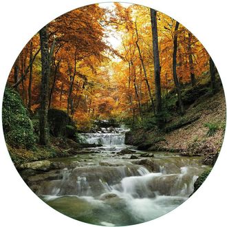 Wallario Glasbild rund Kleiner Bach &uuml;ber Steine im Herbstwald - Rund, 50 cm Durchmesser Wandbild Glas in Premium-Qualit&auml;t: Brillante Farben, freischwebende Opt