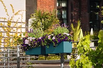 Lechuza 50 Color - Exclusive Sonderfarbe Capri, 50x19x19 cm