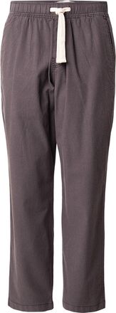 Hollister Hose