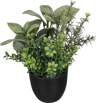 Creativ Green k&uuml;nstlicher Kr&auml;uter-Mix im Topf I unechte Kr&auml;uter im Topf 18cm hoch I Kunststoff-Kr&auml;uter f&uuml;r K&uuml;che I K&uuml;chenkr&auml;uter k&uuml;nstlich I hochwertige Dekopflanze