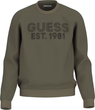 Guess Sweatshirt Beau