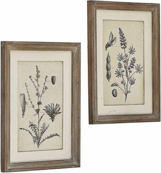Loberon Bild 2er Set Stanbury, Zarte Botanische Motive, Schlicht Gehaltener Holzrahmen, Wanddekoration, Papier, Tannenholz, braun/wei&szlig;