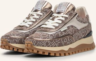 Floris Van Bommel Floris Van Bommel Sneaker Grommi 02 braun