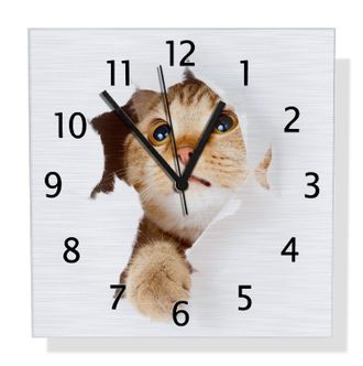 Wallario Design Wanduhr Katze mit Blick nach Oben aus Aluverbund, Alu-Uhr Größe 30 x 30 cm, Schwarze Zeiger mit Metalloptik