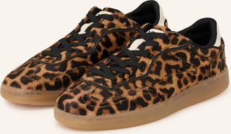 Hoff Hoff Sneaker Alley braun