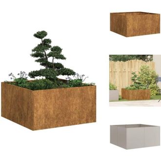 vidaXL Vidaxl - Jardini&egrave;re rouill&eacute; 80x80x40 cm acier inoxydable - Jardini&egrave;re - Jardini&egrave;res - Pot De Fleurs - Support De Jardini&egrave;re