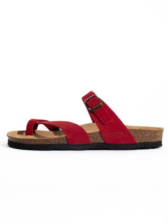 Bayton ZehentrennerDiane