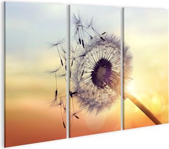 Islandburner Bild auf Leinwand Pusteblume im Sonnenuntergang am Horizont mit weichen Farben Bilder Wandbilder Poster