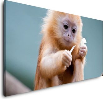 Paul Sinus Art kleiner Affe auf Ast 120x 60cm Panorama Leinwand Bild XXL Format Wandbilder Wohnzimmer Wohnung Deko Kunstdrucke
