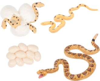 Cabilock Simulation Klapperschlangen Modell PVC Lernspielzeug für Naturwissenschaftliche Bildung Kognitive Tierfiguren Entwicklungszyklus
