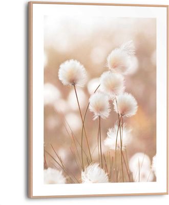 Reinders Gerahmtes Bild, Cotton Pops, Schlafzimmer, Poster, Wanddeko, Room Decor, MDF, Beige, 40x30cm