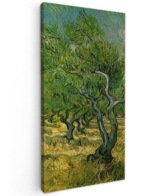 MuchoWow Leinwand Bilder, Einzigartige Wanddeko mit Rahmen, Olivenhain - Vincent van Gogh, Wandbilder Wohnzimmer, Deko Schlafzimmer 40x80 cm