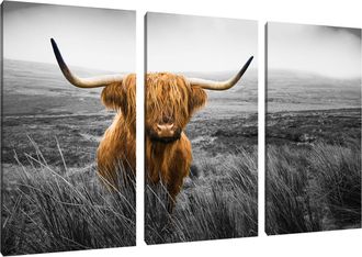 Pixxprint Highland Rind mit großen Hörnern Steppe B&W Detail, Leinwandbild 3 Teilig, Gesamtmaß: 120x80cm, Wandbild, Dekoration, fertig gespannt, Kein Poster